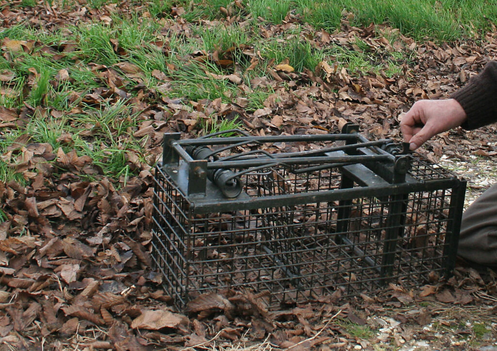 Piégeage - Le chasseur ardennais